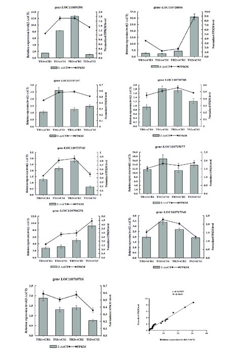 Verification Of The Rna Seq Results By Rt Qpcr Bars Represent The Download Scientific Diagram