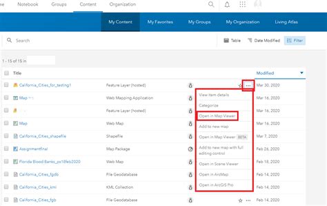 How To Enable Editing On A Locked Field In Arcgis Online Map Viewer