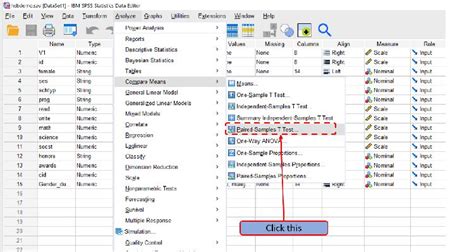 Paired T Test In SPSS