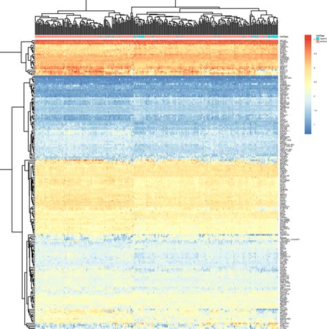 Heatmap The Hierarchical Clustering Heatmap Pink And Blue Represent Download Scientific