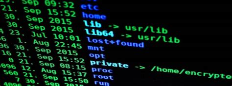hacker finds vulnerabilities in apple microsoft s systems — appedus