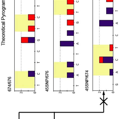 Applications Of Pyrosequencing ® Pyrogram ® Adapted From Fig 1