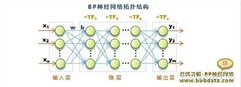 bp神经网络算法原理入门 bp神经网络模型详解 bp神经网络代码实现matlab 笔记整合 知乎