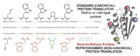 Chemsynbio New To Nature Biochemistry