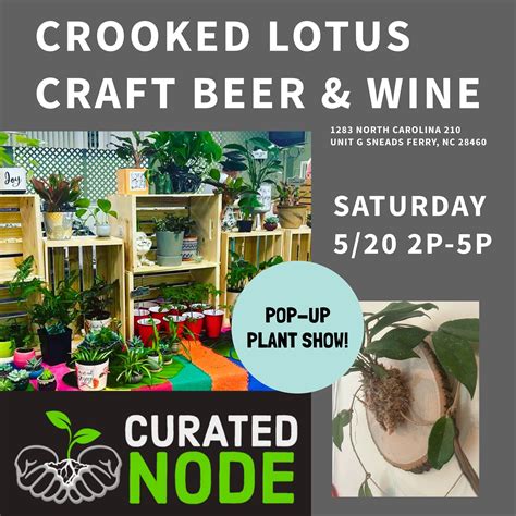 The Curated Node