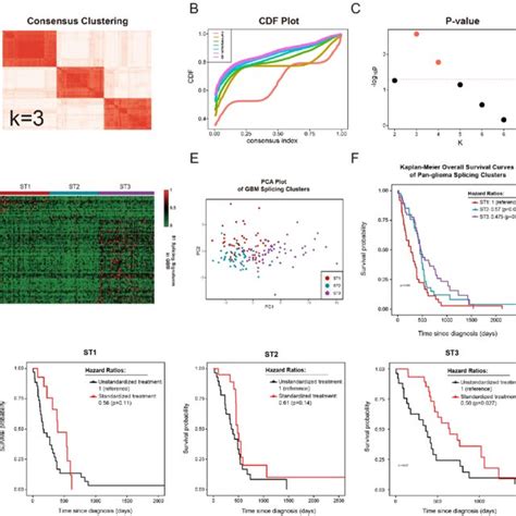 Torpedo Model Of Transcription Termination And 3 End Processing Download Scientific Diagram