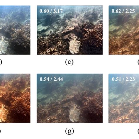 a hazy and bluish underwater image and its restored enhanced results