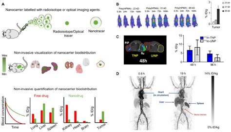 Biodistribution Imaging A Nanomedicines Labeled With Radioisotopes