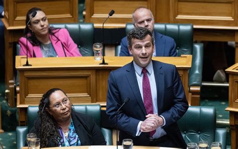 Nz Political Parties Gear Up For A Busy 2025 Rnz News
