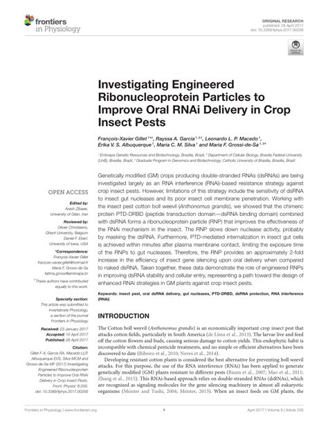 Pdf Investigating Engineered Ribonucleoprotein Particles To Improve