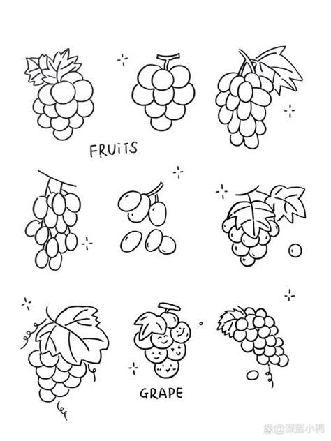 葡萄叶子简笔画步骤图文简单（最新14张） 简笔画图片大全