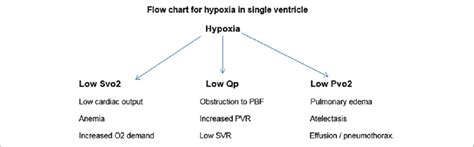 Flowchart For Hypoxia In The Single Ventricle O2 Oxygen Pbf Download Scientific Diagram