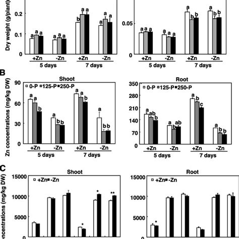 P And Zn Concentrations In Shoots And Roots Of Maize Supplied With Download Scientific Diagram