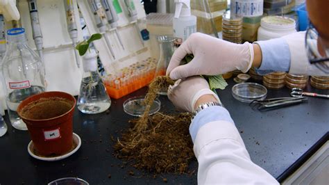 Video Author Spotlight Developing Synthetic Microbial Communities For Generating Second