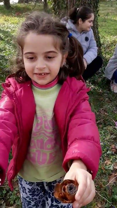 გაზაფხულის ტყეში🌹🌷 Youtube