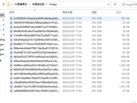 【数据集处理】制作自己的tusimple数据集 图森数据集 lanenet模型数据集） csdn博客