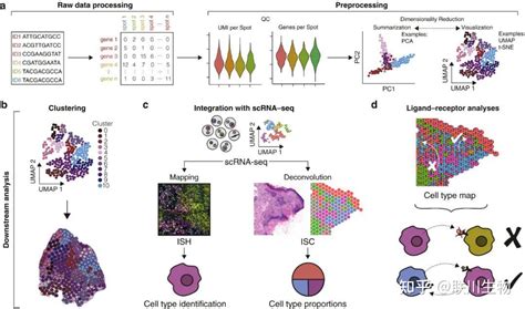 空间转录组——简单的研究方法带来不简单的研究成果 知乎