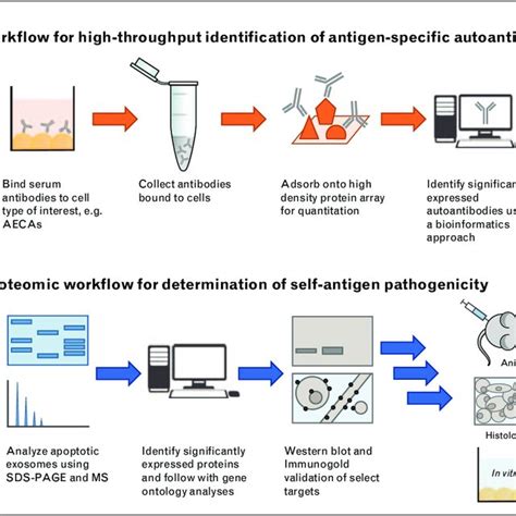 Example Workflows Highlighting A Proteomic Approaches To