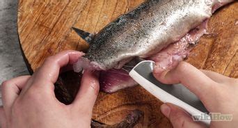 How To Catch Trout With Pictures WikiHow