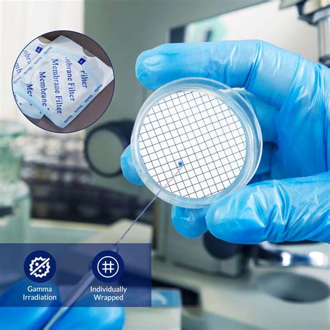 Mce Gridded Membrane Filter Membrane Solutions Mixed Cellulose Esters Microbial Membrane Filter