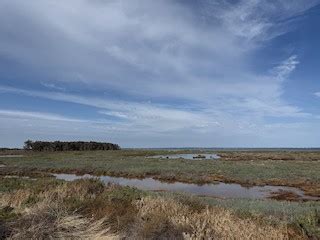 Nairns Coodanup Mandurah Western Australia Australia Ebird Hotspot