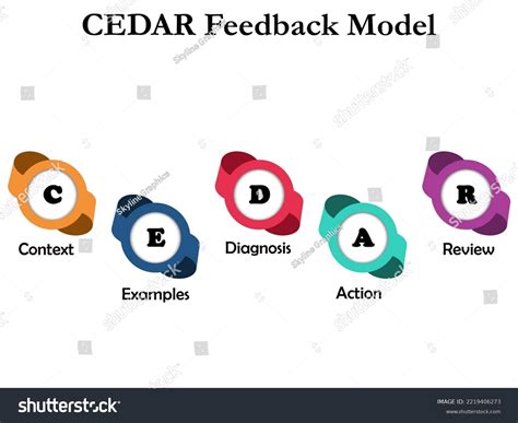 Cedar Feedback Model Context Examples Diagnosis Stock Vector Royalty Free 2219406273
