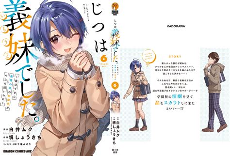 楽天ブックス じつは義妹でした。～最近できた義理の弟の距離感がやたら近いわけ～ 6 堺 しょうきち 9784040758695 本