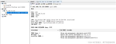 jvisualvm连接远程服务器 jvisualvm连接远程主机 csdn博客