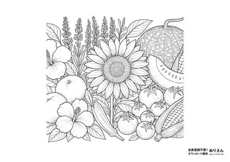 【夏祭り無料ぬりえ】みんなで盆踊り！浴衣姿の楽しいぬりえ素材 【無料ぬりえ】家庭・保育・介護で使える！印刷して楽しめる塗り絵サイト「ぬりえん」