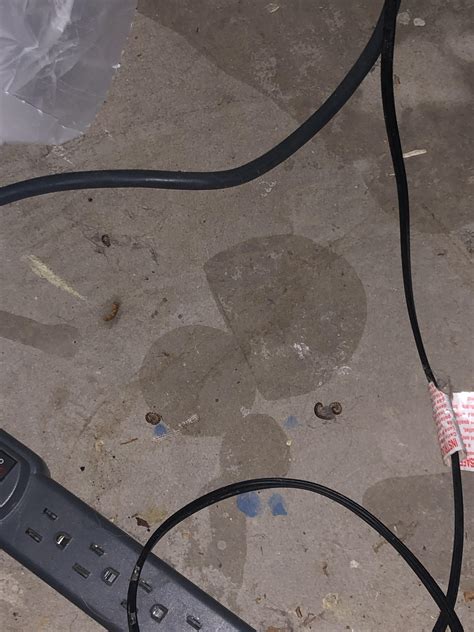 How Do I Get Rid Of These Things R Pestcontrol