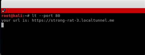 Port Forwarding With Localtunnel Without Router Access Zsecurity