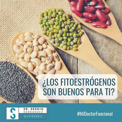 Los Fitoestrógenos Son Dr Sergio Hernandez Gutierrez