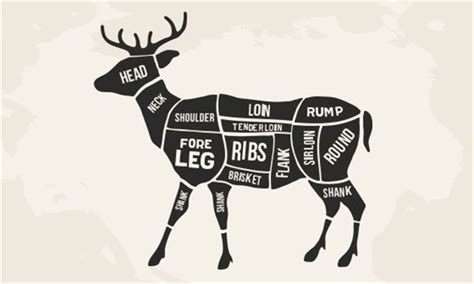 Cutting Up A Deer Diagram
