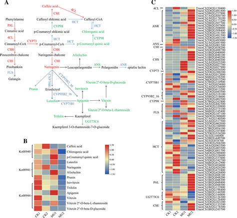 transcript and metabolic profiling of significantly differential