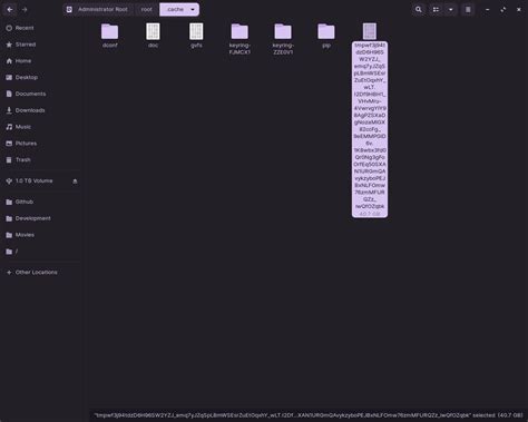What Is This Unknown File In My Root Cache Folder Can I Delete It As It Is Taking Quite A Bit
