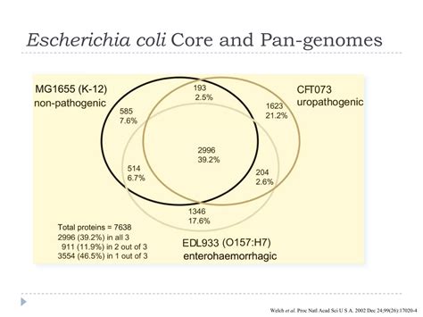 Bio153 Microbial Genomics 2012 Pptx Chemistry Science