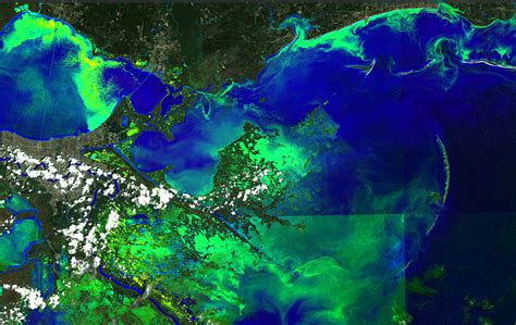Aquatic Plants And Algae Custom Script Detector Apa Script Sentinel