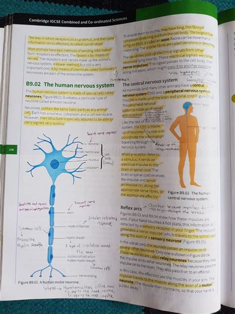 Igcse Science Textbook Hobbies And Toys Books And Magazines Textbooks On