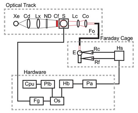 Determination Of Photoreceptor Cell Spectral Sensitivity In An Insect