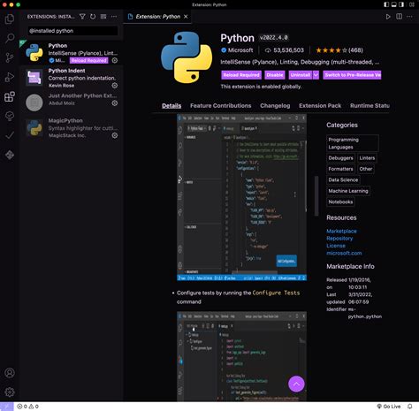 Microsoft Python Pylance Extension Page  Preview Scaling · Issue