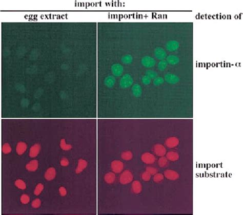 Distributed Interactive Simulation Semantic Scholar