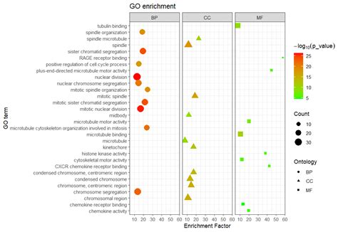 r语言clusterprofiler包go富集分析（enrichplot包、goplot包和ggplot2绘图） 知乎