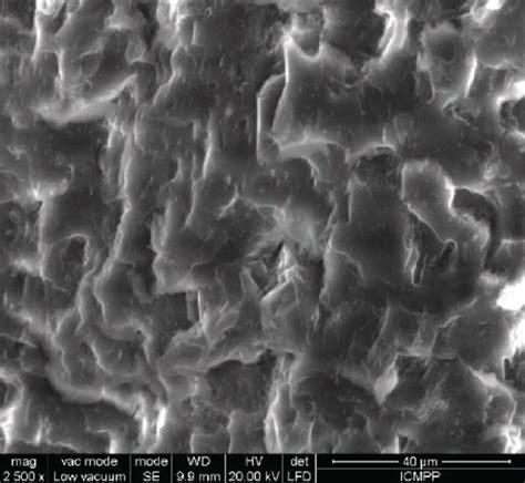 Edax A C And Sem D F Analysis On The D1 D3 Films Download Scientific Diagram