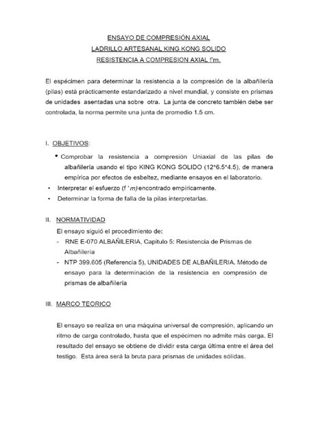 R1 Ensayo De Muro De Pilas Ilide Info Platform Pdf Viewer Pdf