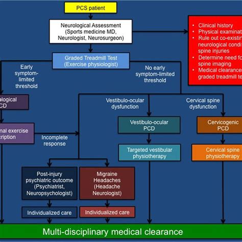 proposed algorithm for diagnosis of pcd sub types pcd post concussion