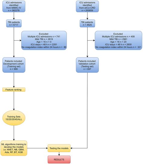 Overview Of The Methods Used For Data Extraction Training And Download Scientific Diagram