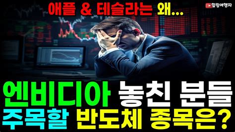 힐링여행자 미국 주식 브리핑 엔비디아만 있는 게 아니다 더 폭등할 반도체 주가 앞으로 이렇게 됩니다 엔비디아를 놓쳤다면