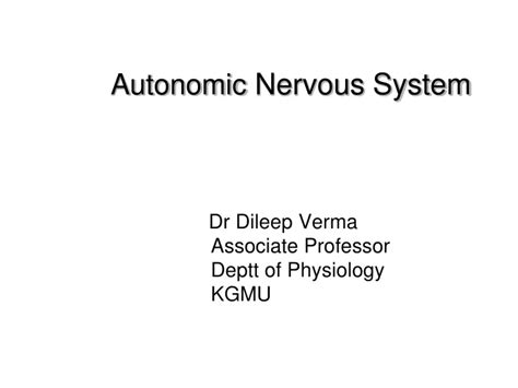 PPT Autonomic Nervous System Introduction Organization PowerPoint Presentation ID 9385280