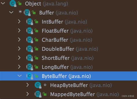 【java io】｜java nio总结 java nio常用缓冲区 csdn博客