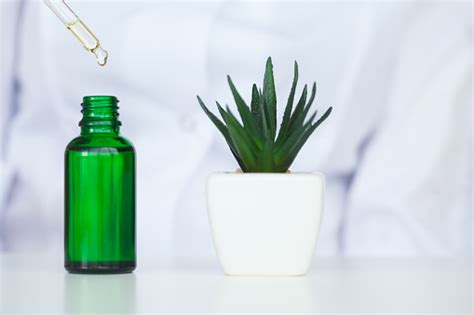 과학자는 자연 유기 추출 및 녹색 초본 혼합 나뭇잎 실험실에서 꽃 향기 에센스 솔루션 0명에 대한 스톡 사진 및 기타 이미지 0명 개발 건강관리와 의술 Istock